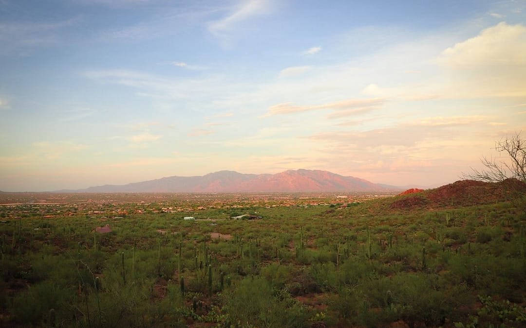 Storytelling to Reflect God's Glory: An Interview with Hannah Kaye ...