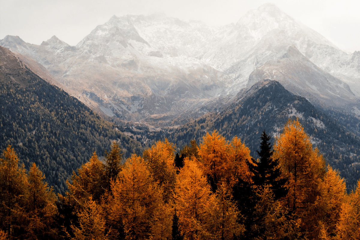 Thankful with All of Creation: 1 Chronicles 16:31-34 - Becca Wierwille