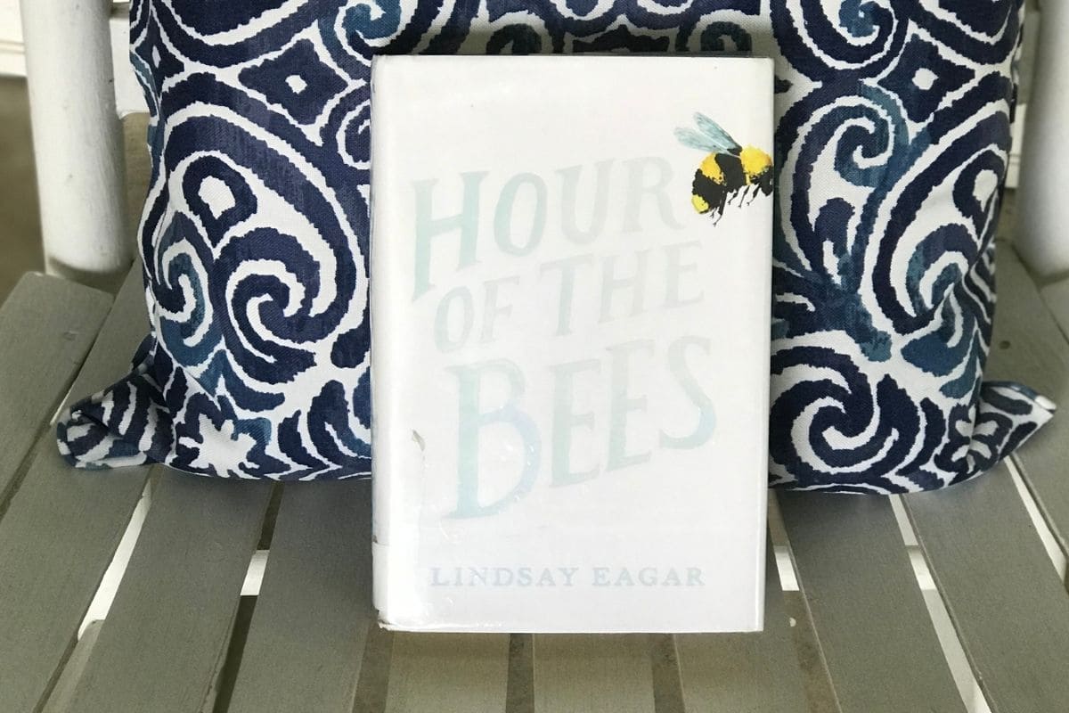 Book Review: Hour of the Bees by Lindsay Eagar - Becca Wierwille