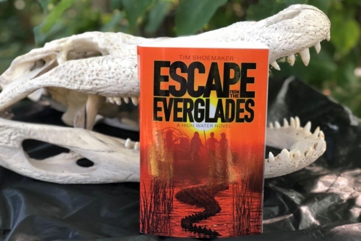 The Power of Stories: An Interview with Tim Shoemaker - Becca Wierwille