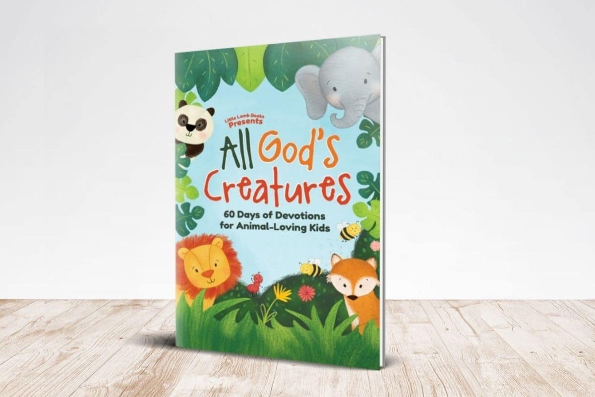 All God’s Creatures: An Interview with Rachel Pellegrino - Becca Wierwille